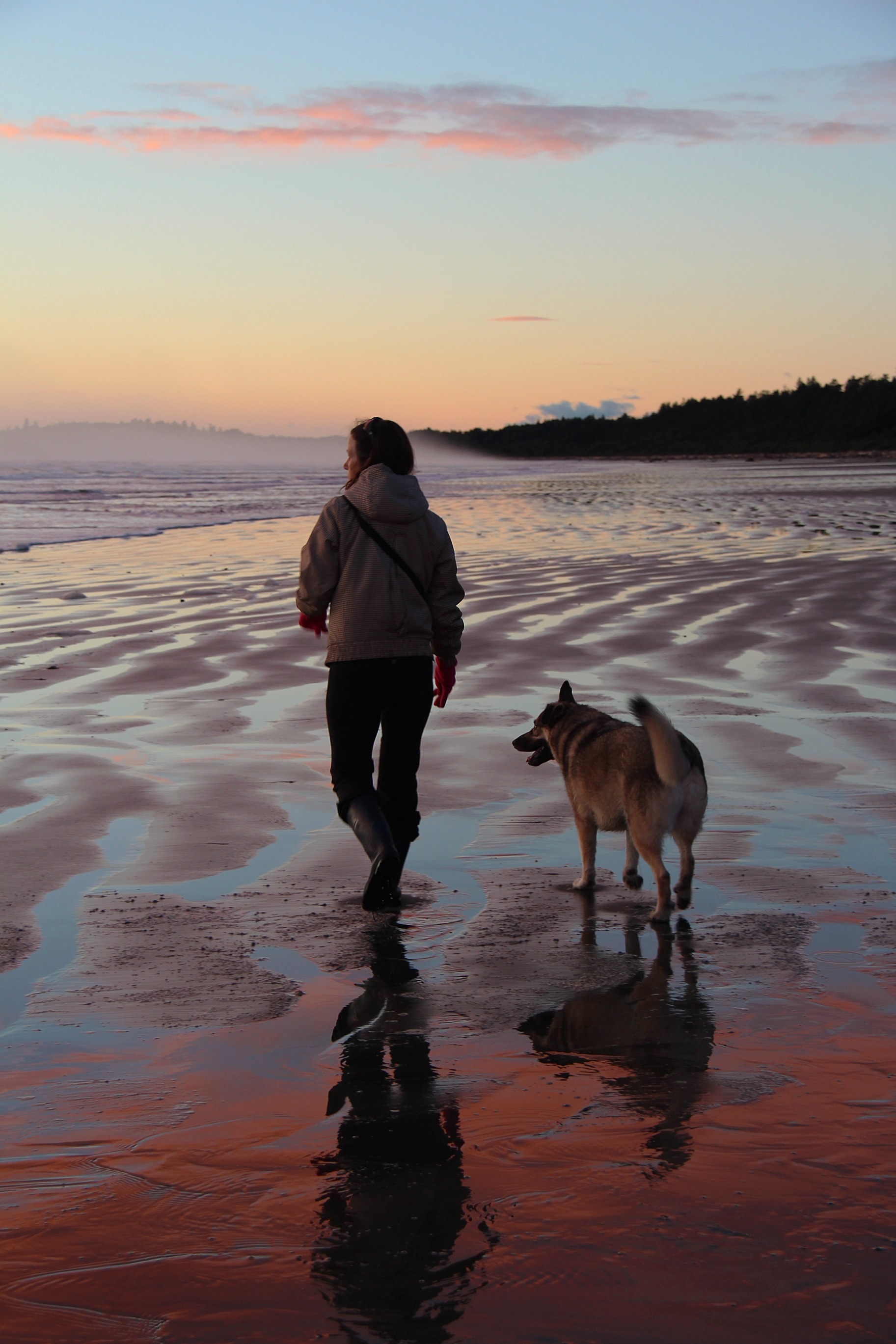 » Meet the Judging Committee for the 2019 VISFF